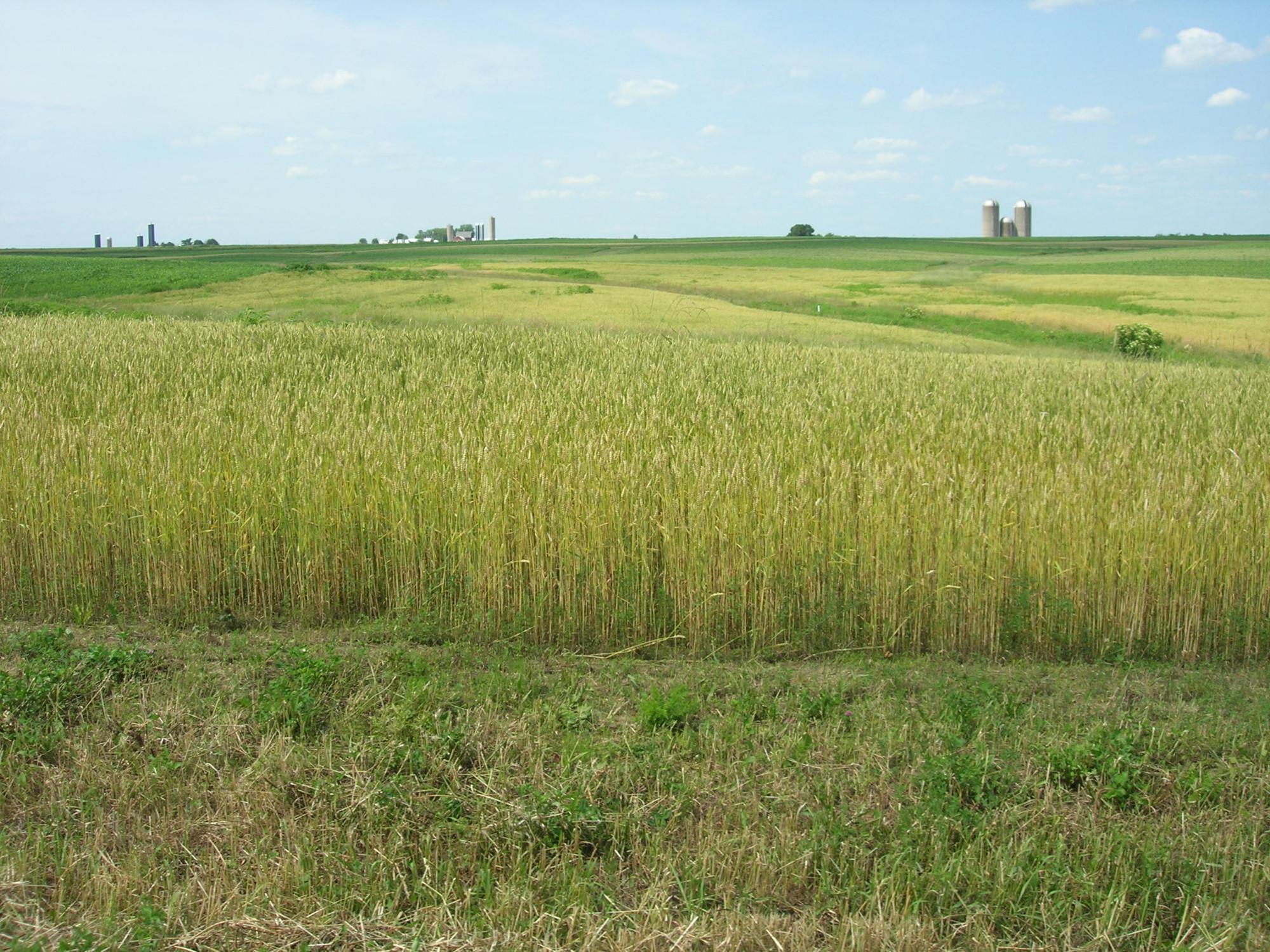 Marbleseed | Support and resources for regenerative and organic farmers ...
