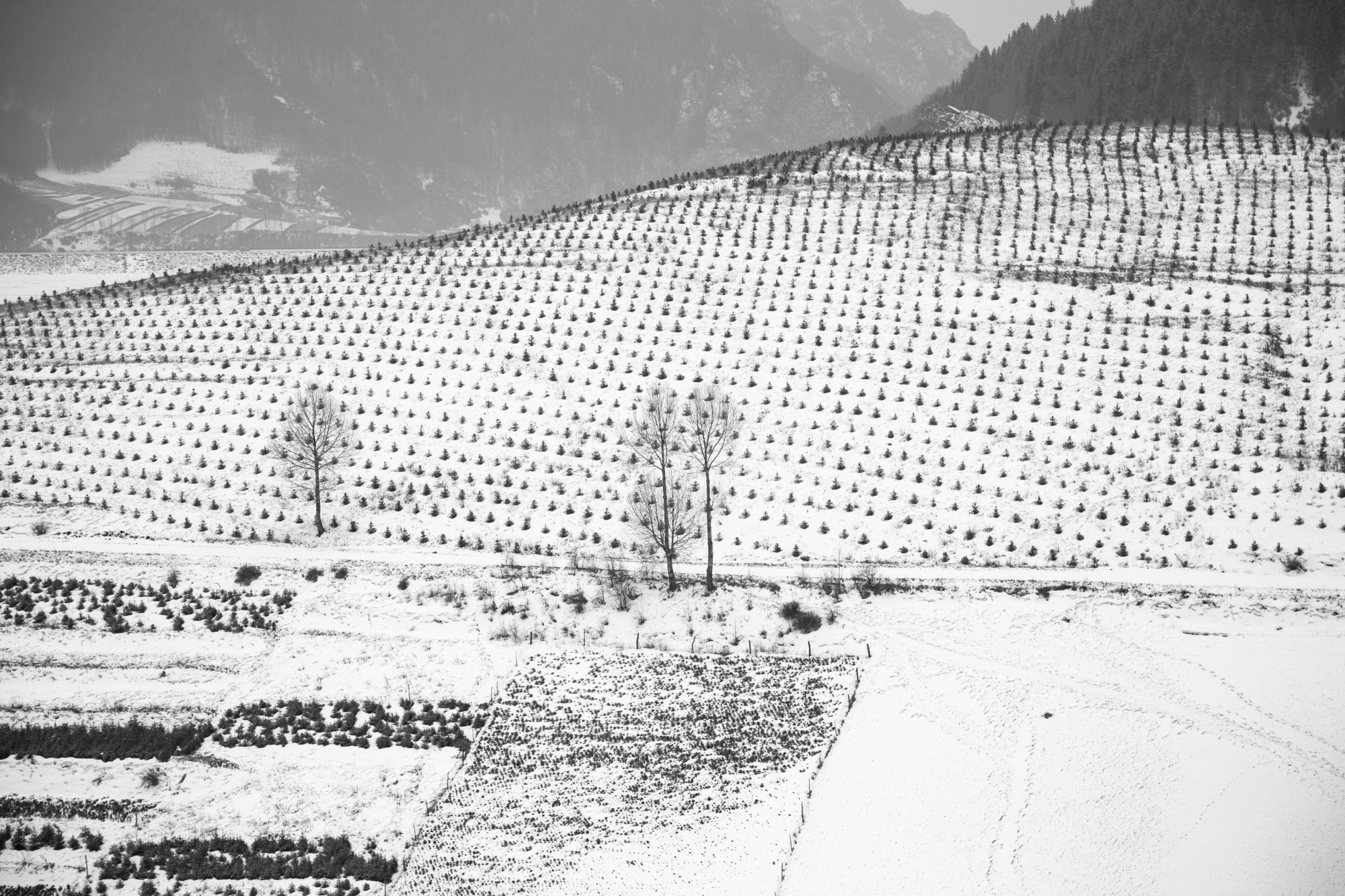 Leaning Into Winter | Blog | Marbleseed
