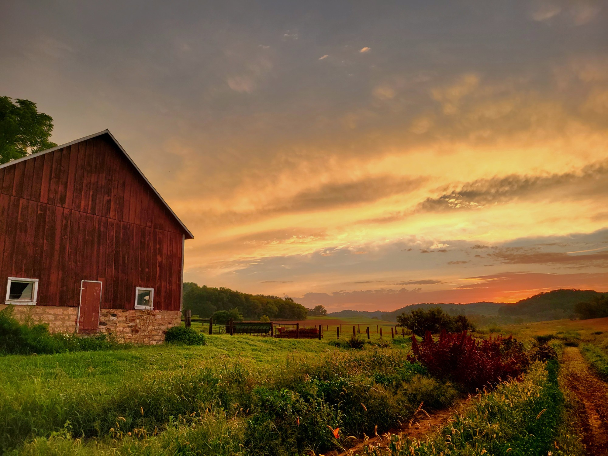 Marbleseed | Support and resources for regenerative and organic farmers ...